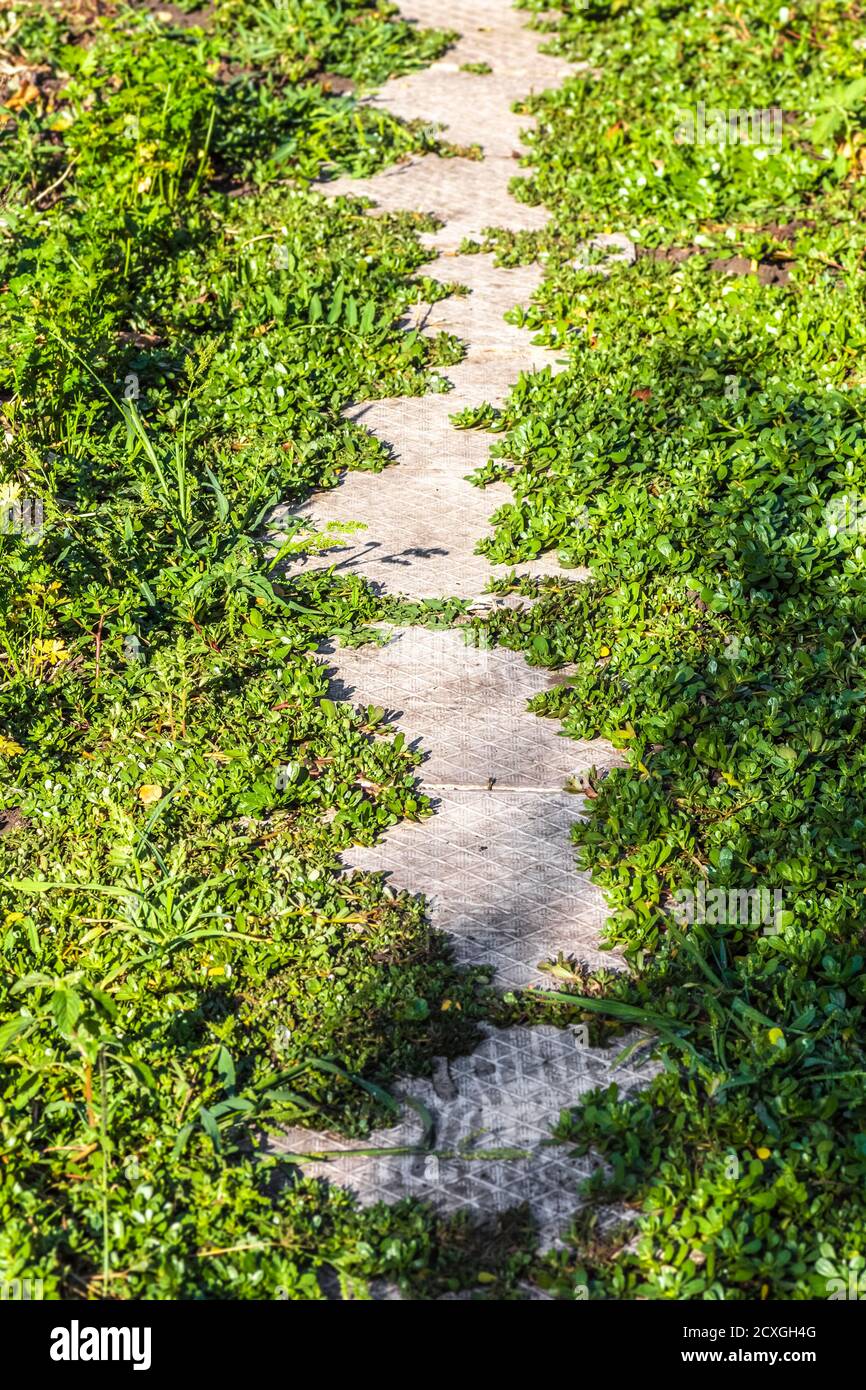 Stone walkway through yard hi-res stock photography and images - Alamy