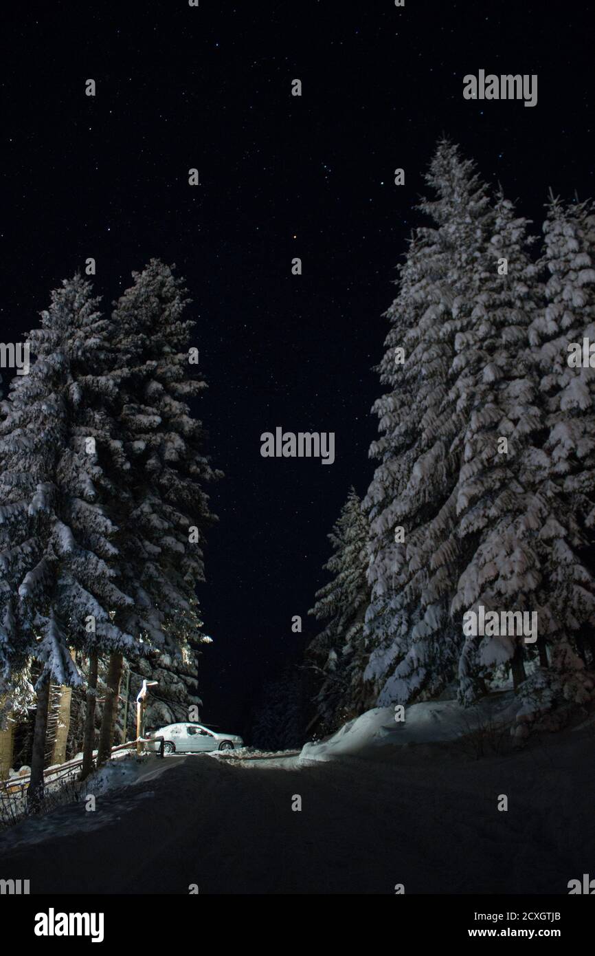 Night sky stars with trees and snow Stock Photo - Alamy
