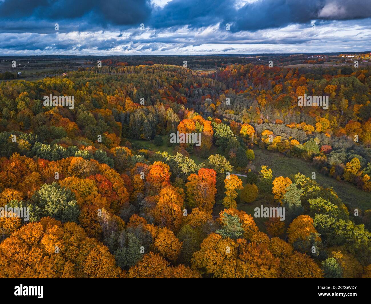 Drone tree tops hi-res stock photography and images - Alamy