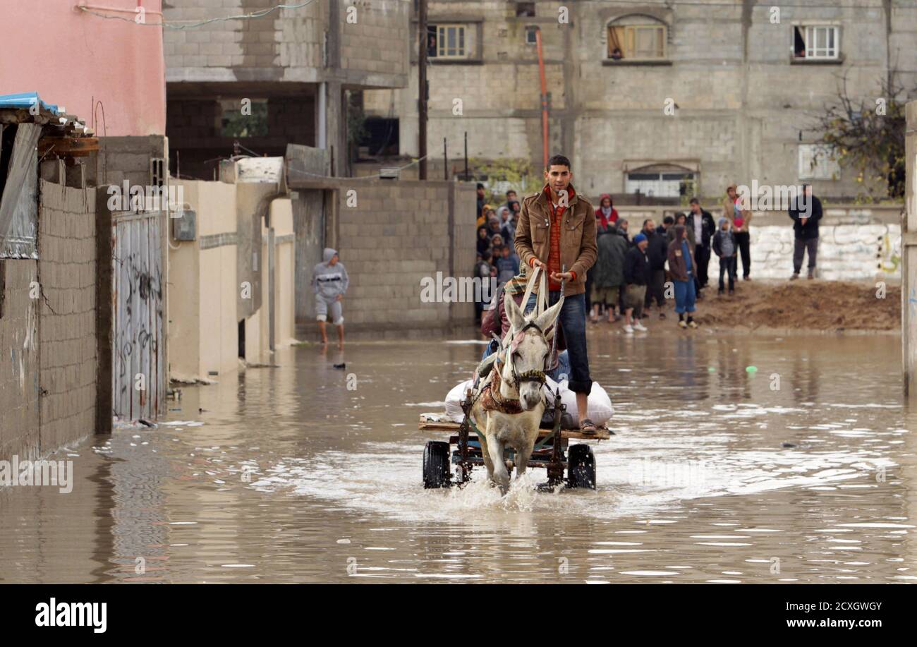 Palestinian With Donkey High Resolution Stock Photography and Images ...
