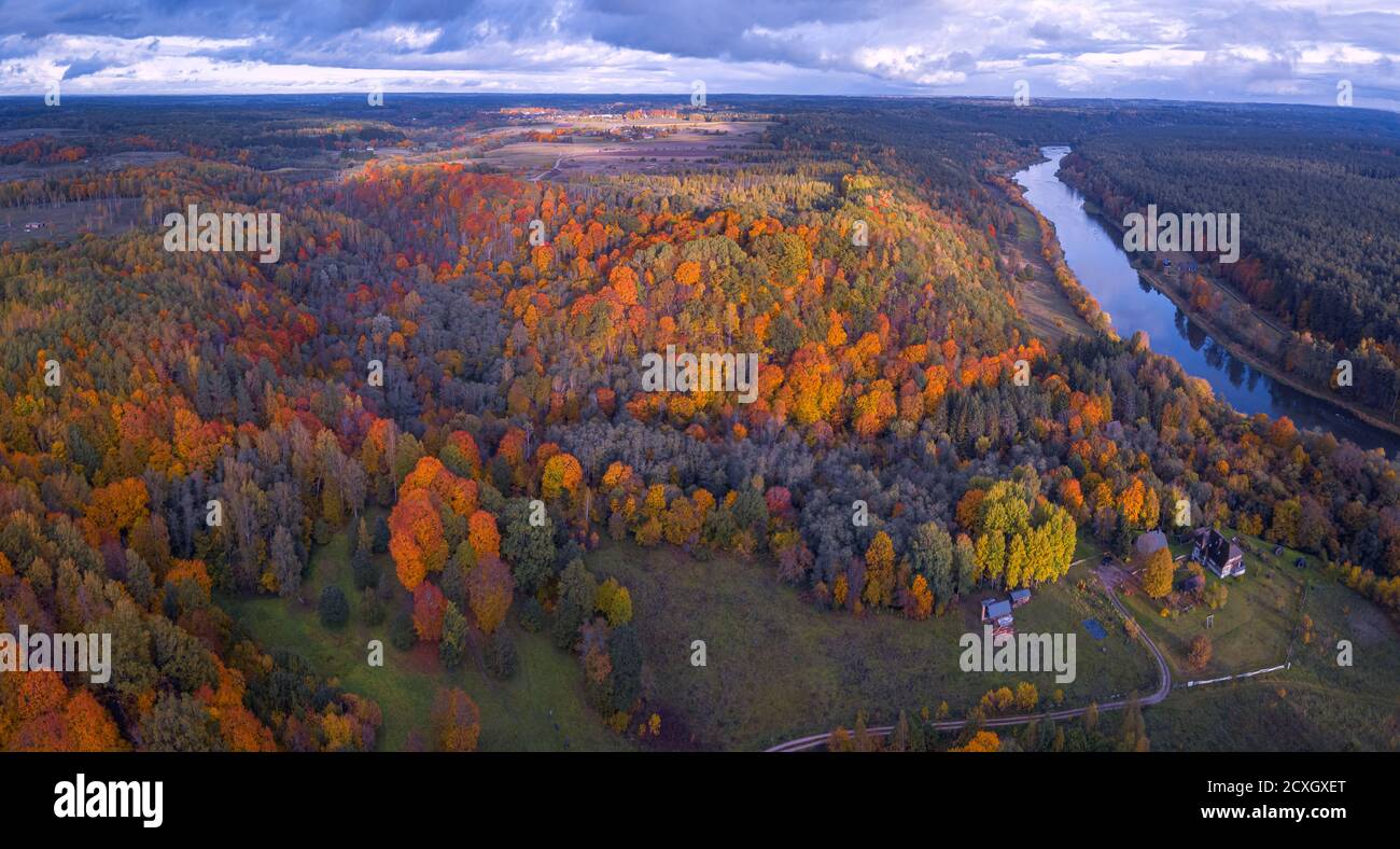 Drone view of colorful tree tops, Lithuania Stock Photo - Alamy