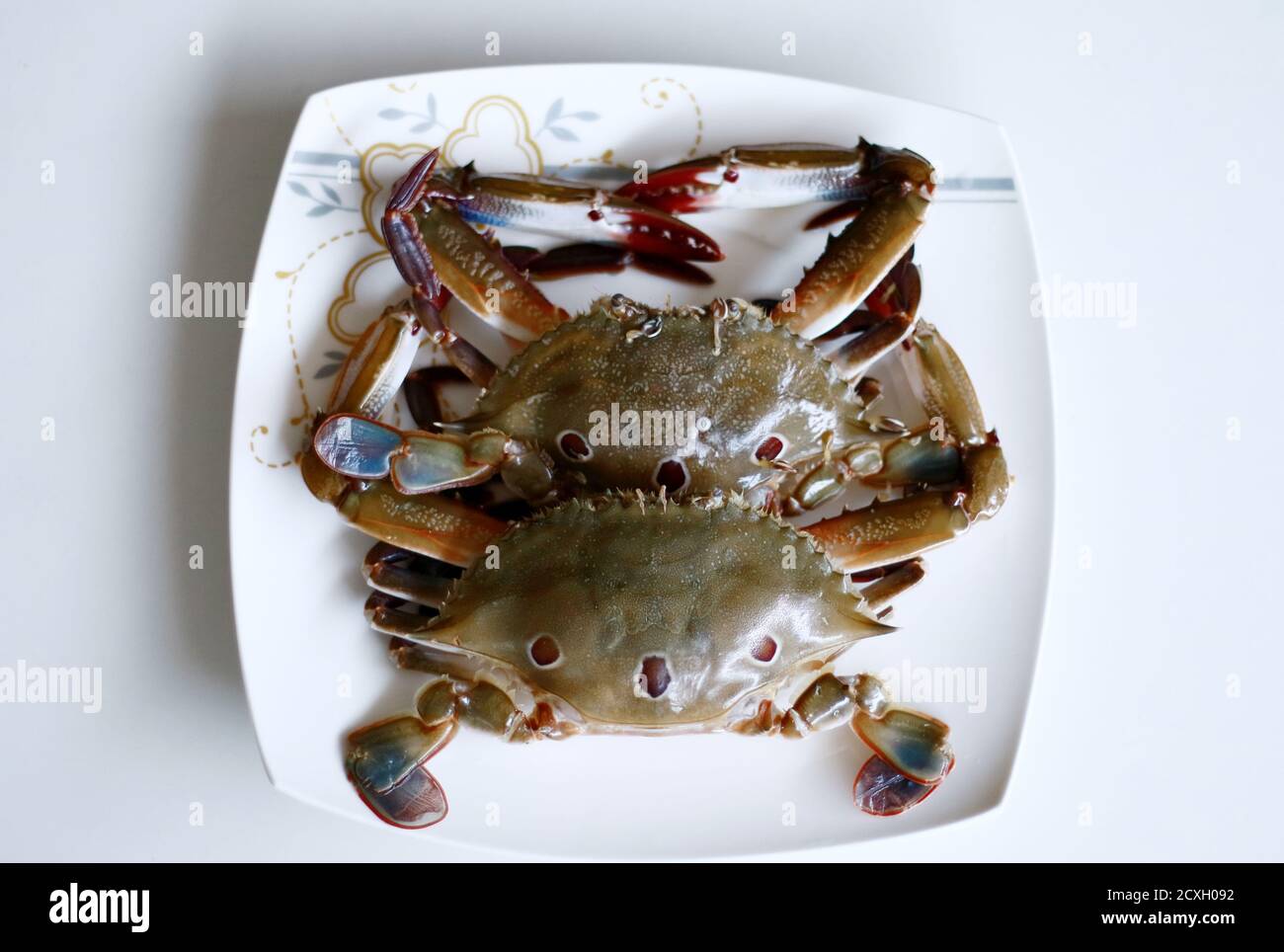 Sea crab on white background. Ready to be cooked Stock Photo - Alamy
