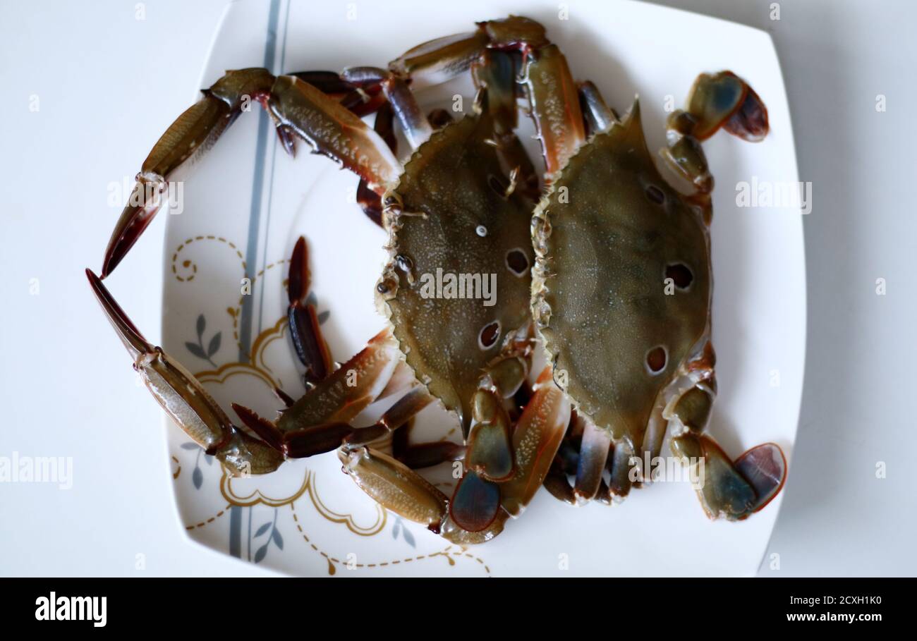 Sea crab on white background. Ready to be cooked Stock Photo - Alamy