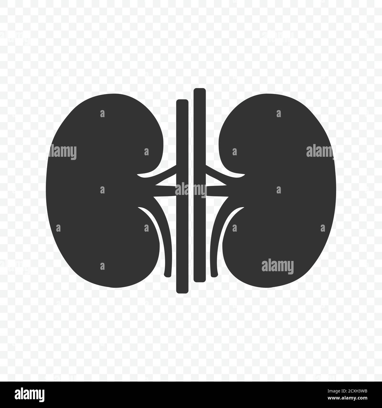 Kidney human renal vector icon isolated Template for your design Stock ...