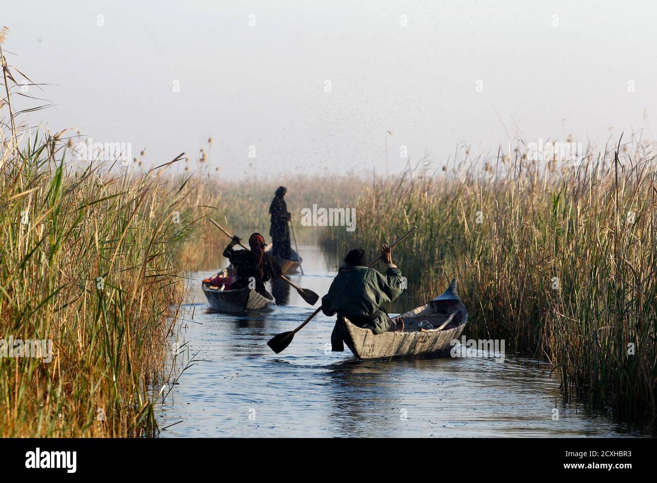 Iraqi marsh arab women paddle hi-res stock photography and images - Alamy