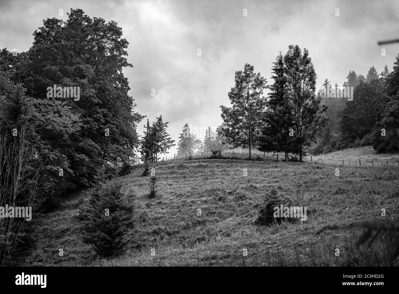 2020 germany Black and White Stock Photos & Images - Alamy