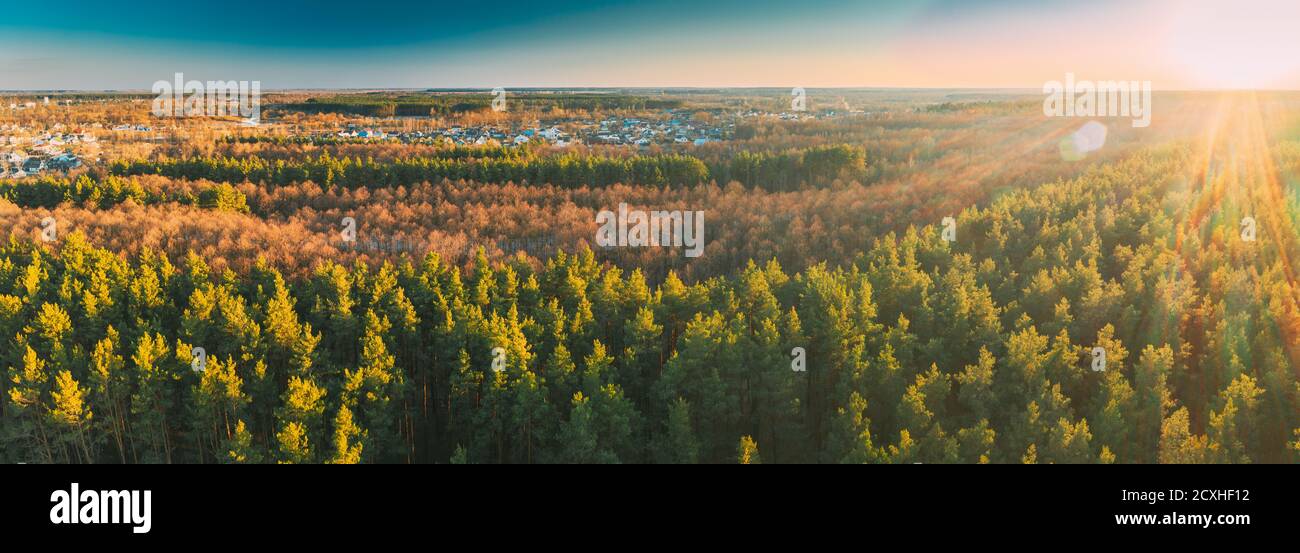 Aerial view forest without leaves hi-res stock photography and images ...