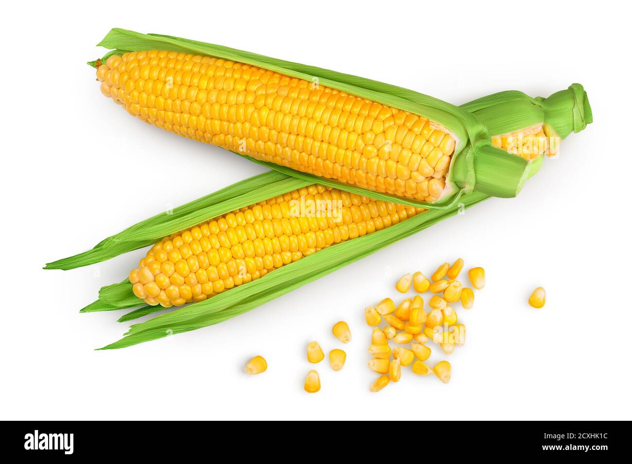 ear of corn isolated on a white background. Clipping path. Top view ...