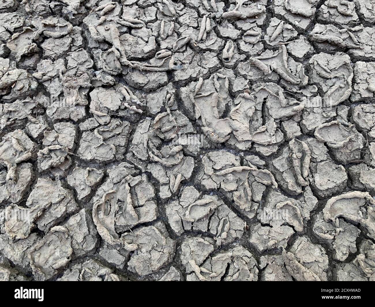 Cracked soil texture. Dry earth. Desert ground background. Unusual ...