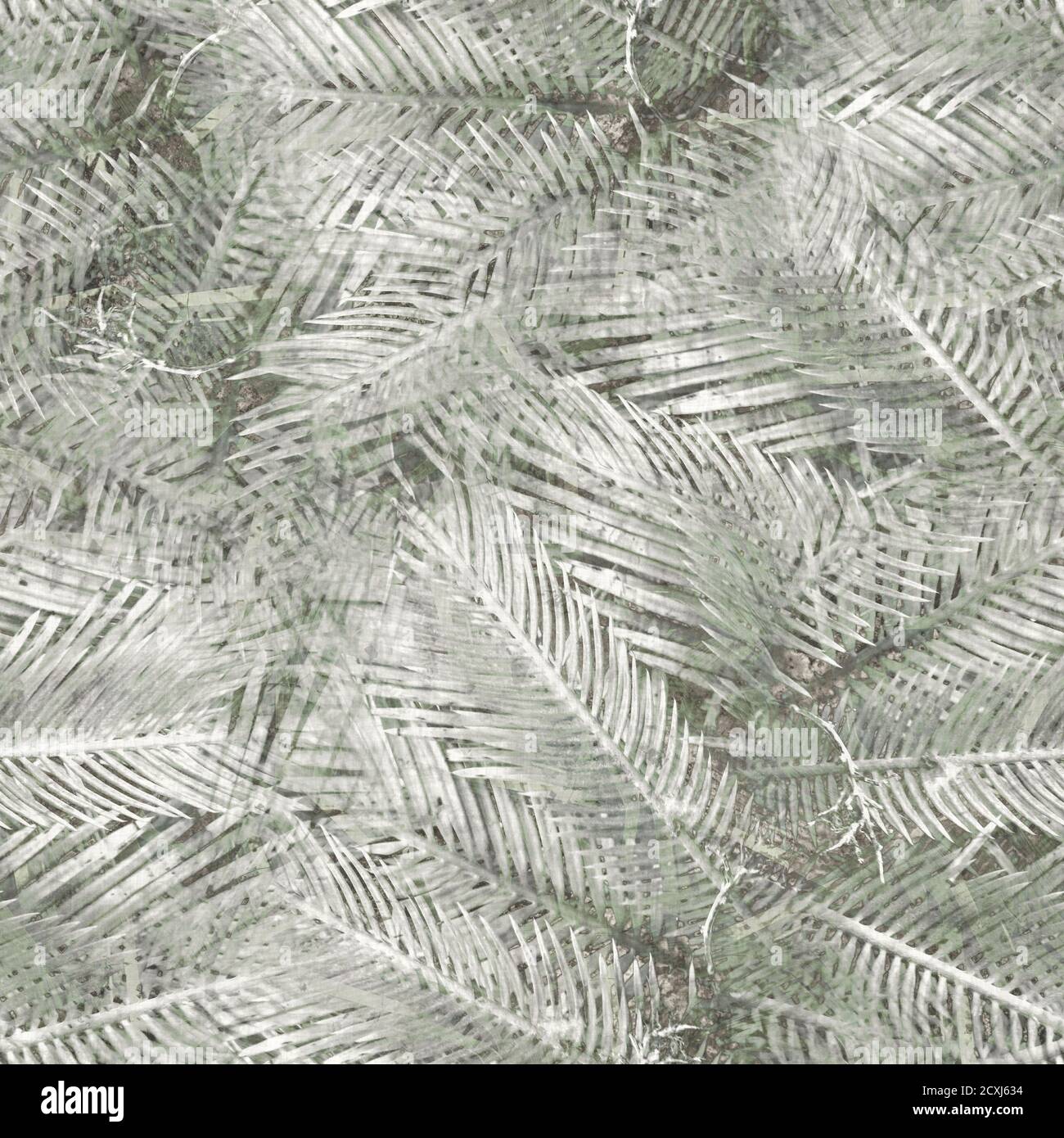 Neutral tropical palm tree leaves seamless pattern Stock Photo - Alamy