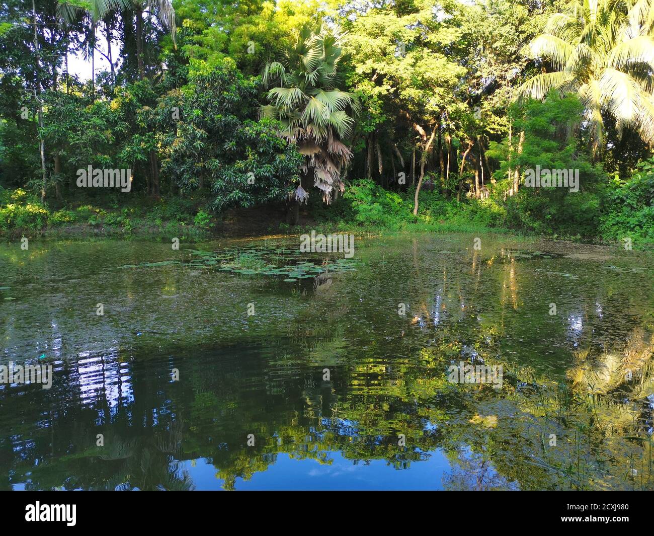 Bangladesh Rural Village High Resolution Stock Photography and Images ...