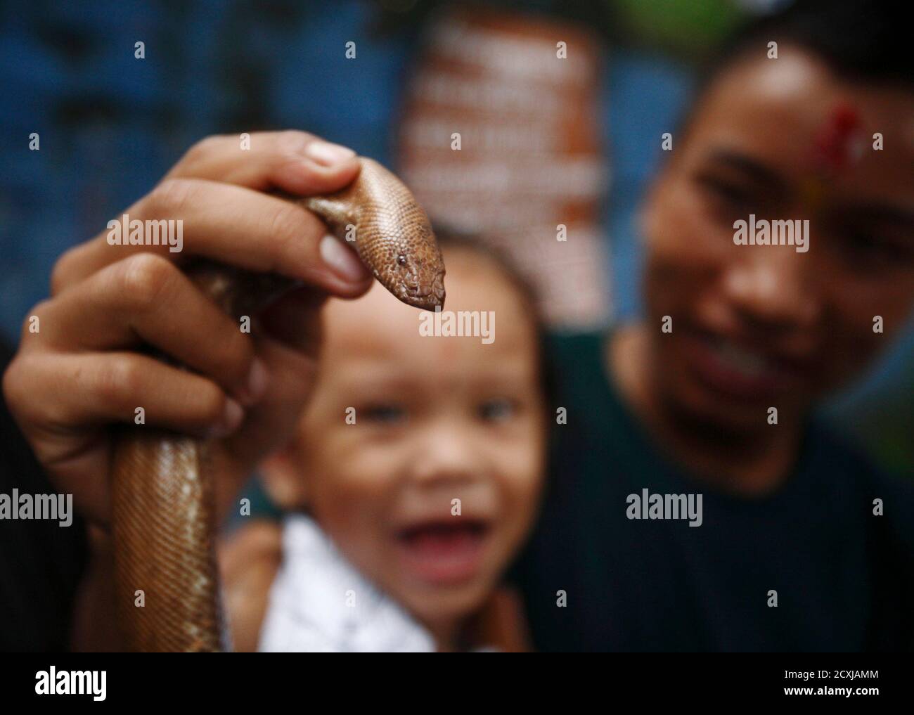 Festival of snake hi-res stock photography and images - Alamy