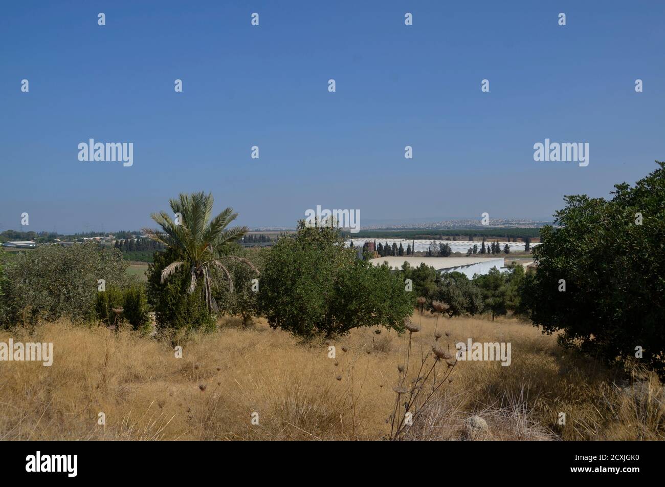 Israel, Coastal Plains, Emek Hefer, Tel Qaqun known to the Crusaders as ...