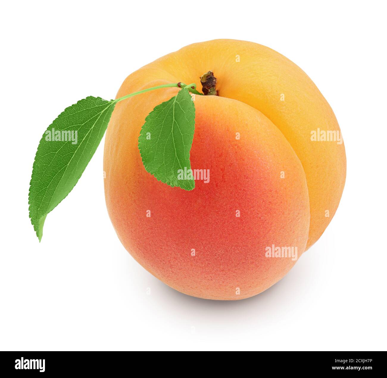 apricot fruit isolated on white background. Clipping path and full ...