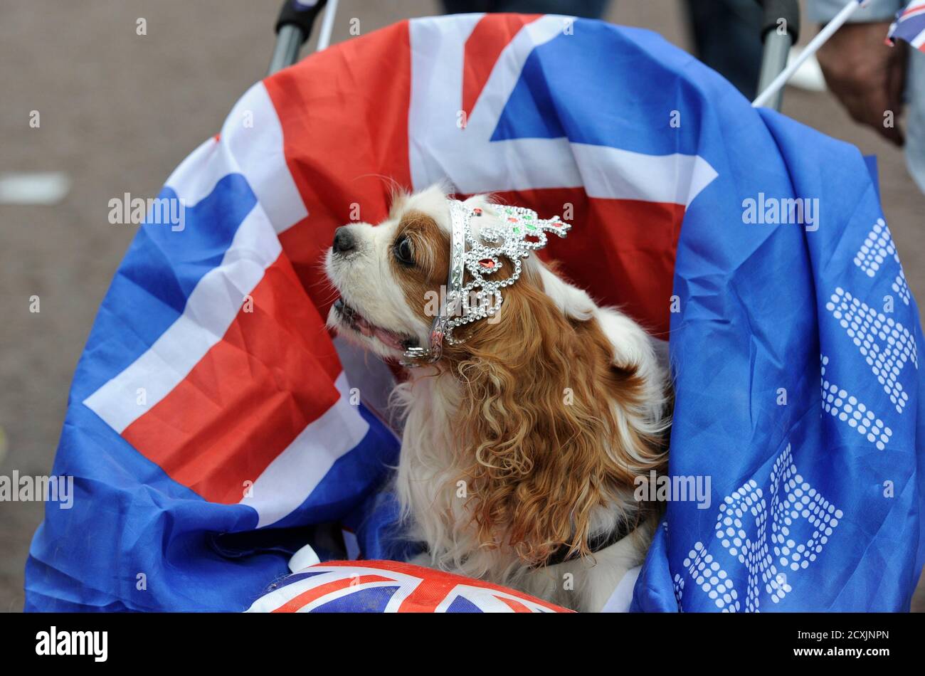 Kate royal pram hi-res stock photography and images - Alamy