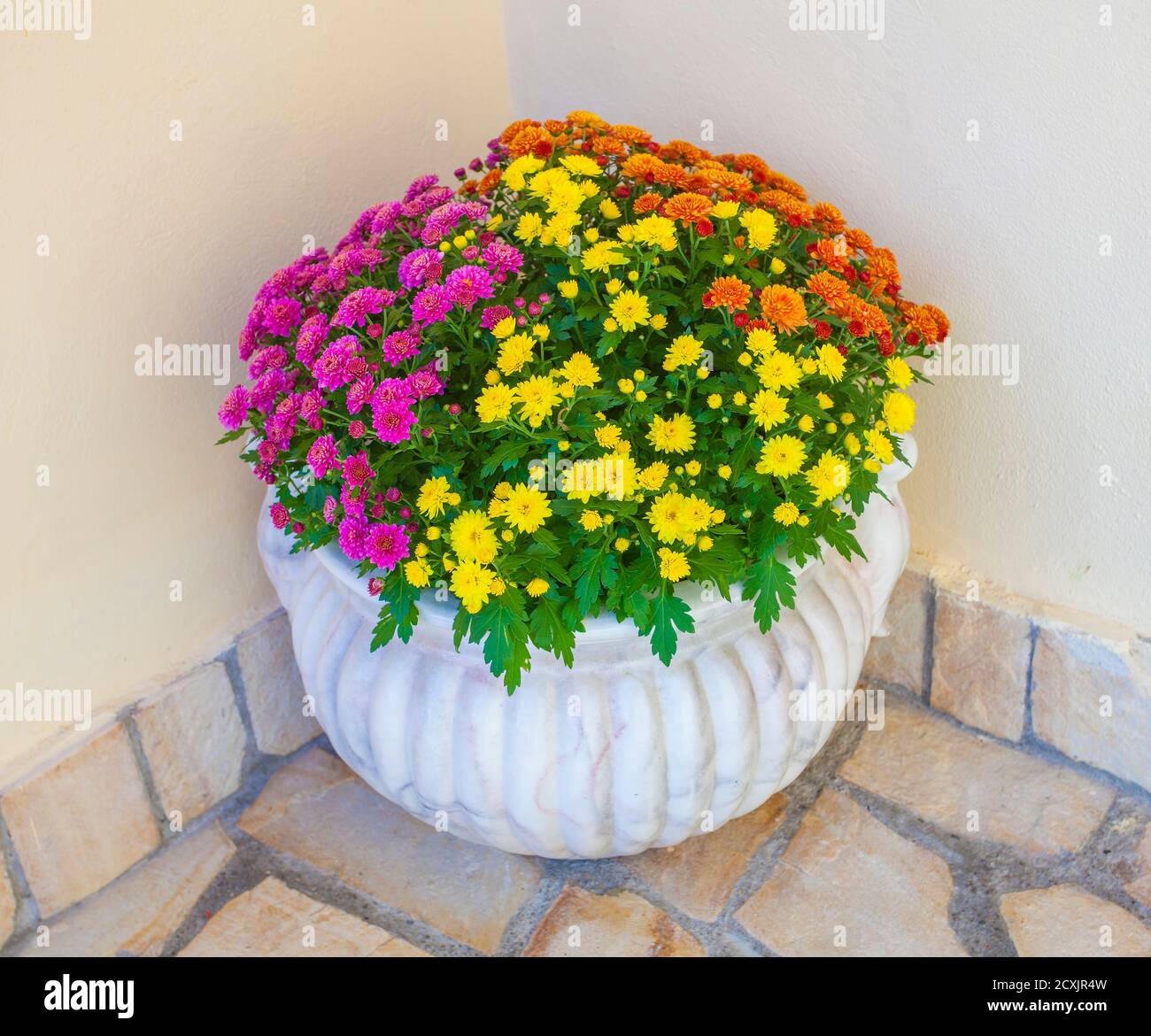 Hotchpotch hi-res stock photography and images - Alamy