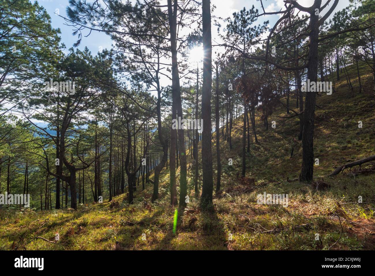 Benquet hi-res stock photography and images - Alamy