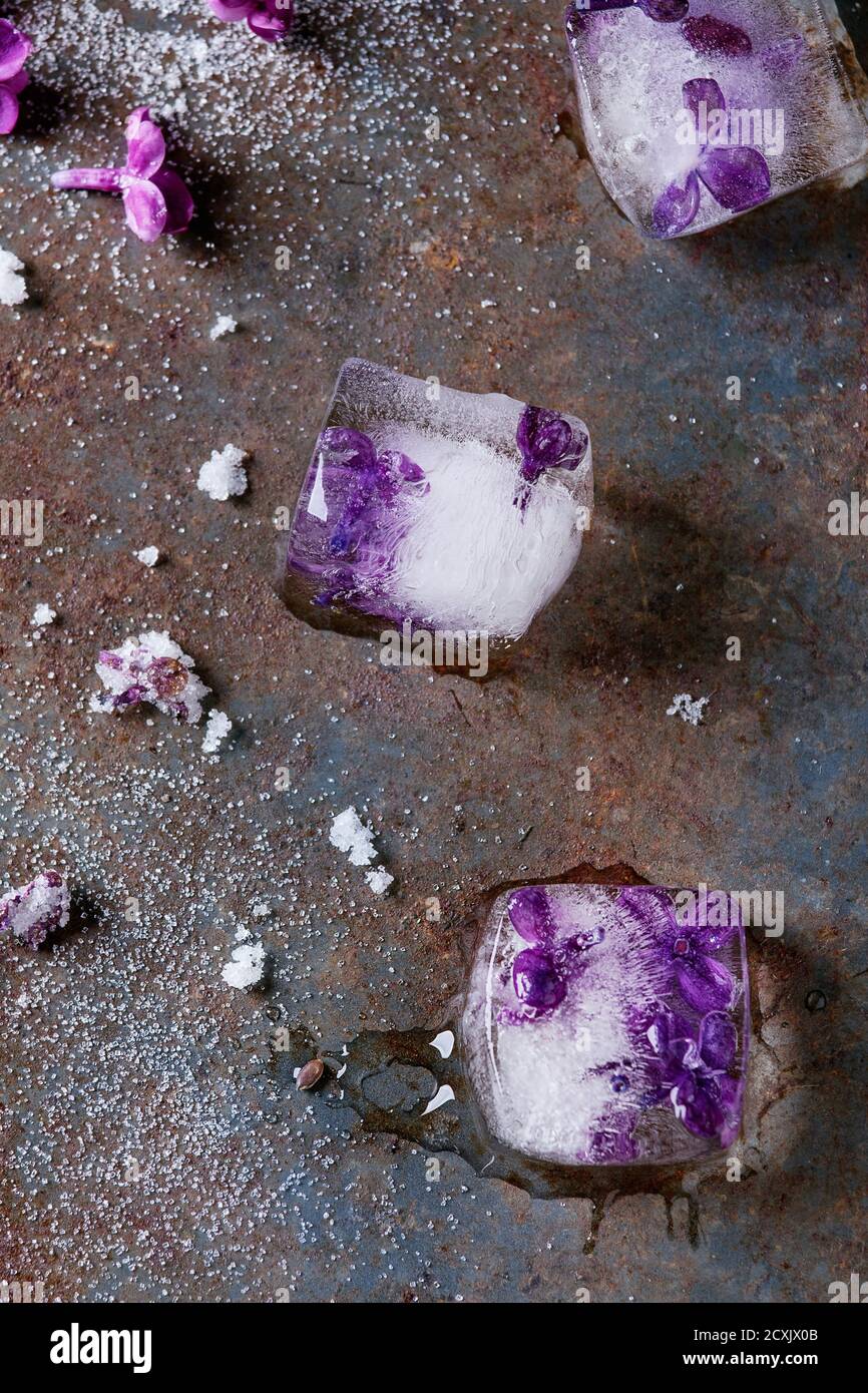 Ice cubes with lilac flowers, white sugar and sugared lilac flowers ...