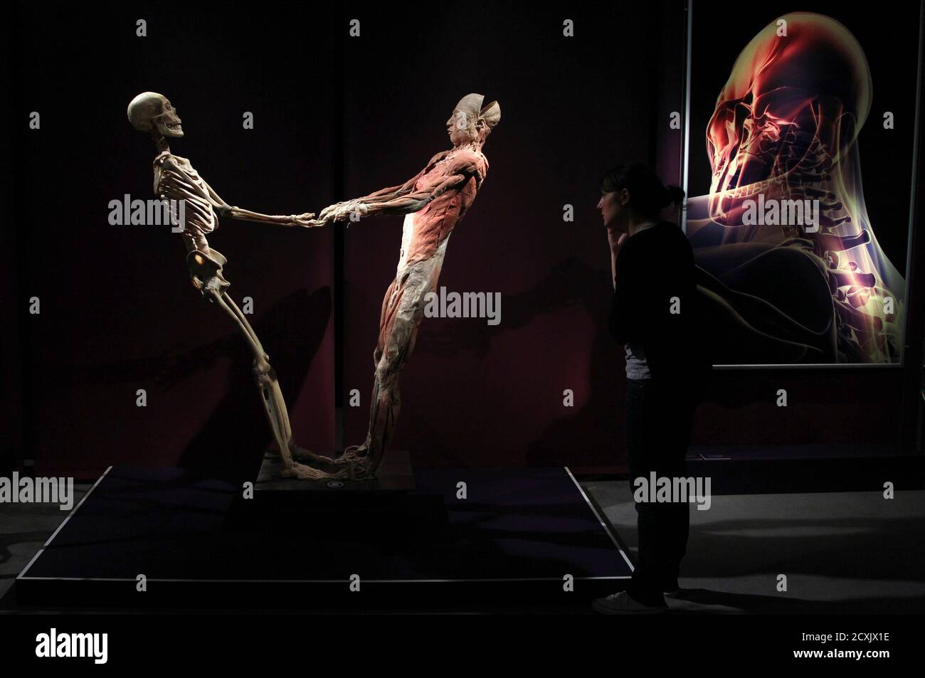 Real bodies exhibition hi-res stock photography and images - Alamy