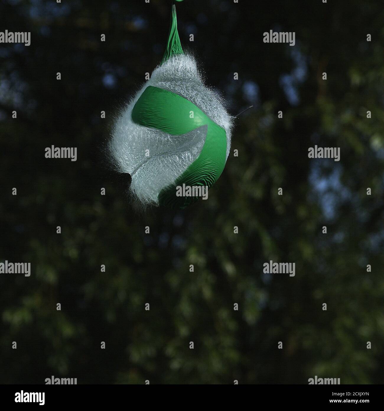 Shot Breaking Water Filled Green Balloon Stock Photo - Alamy