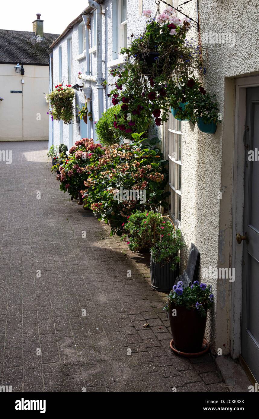 Tenby homes hi-res stock photography and images - Alamy