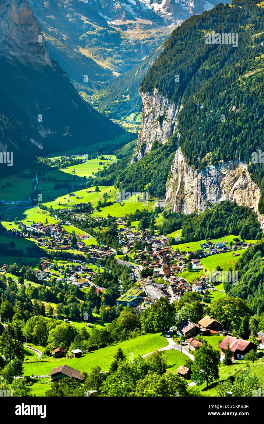 Swiss Alps View 5 Regions To Experience Switzerland's Alpine Flora