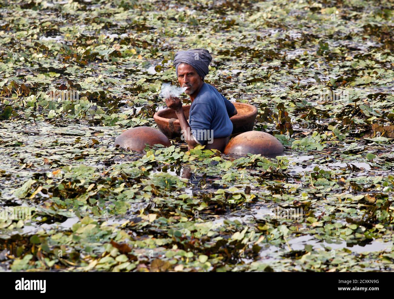 Indian pond life hi-res stock photography and images - Alamy
