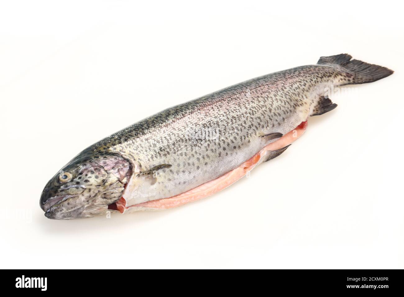 Raw trout fish isolated on white background Stock Photo - Alamy