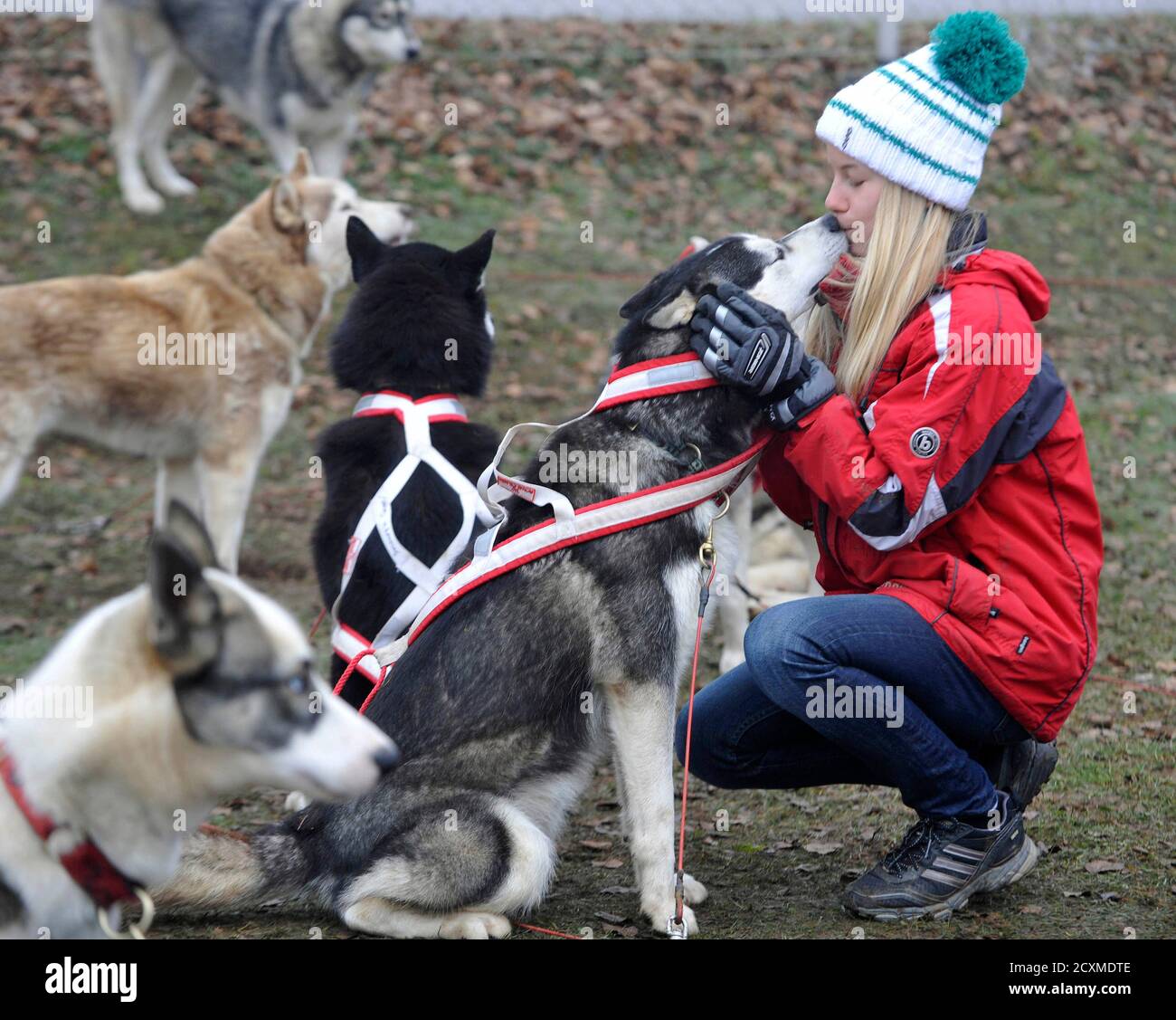 Human races chart hi-res stock photography and images - Alamy