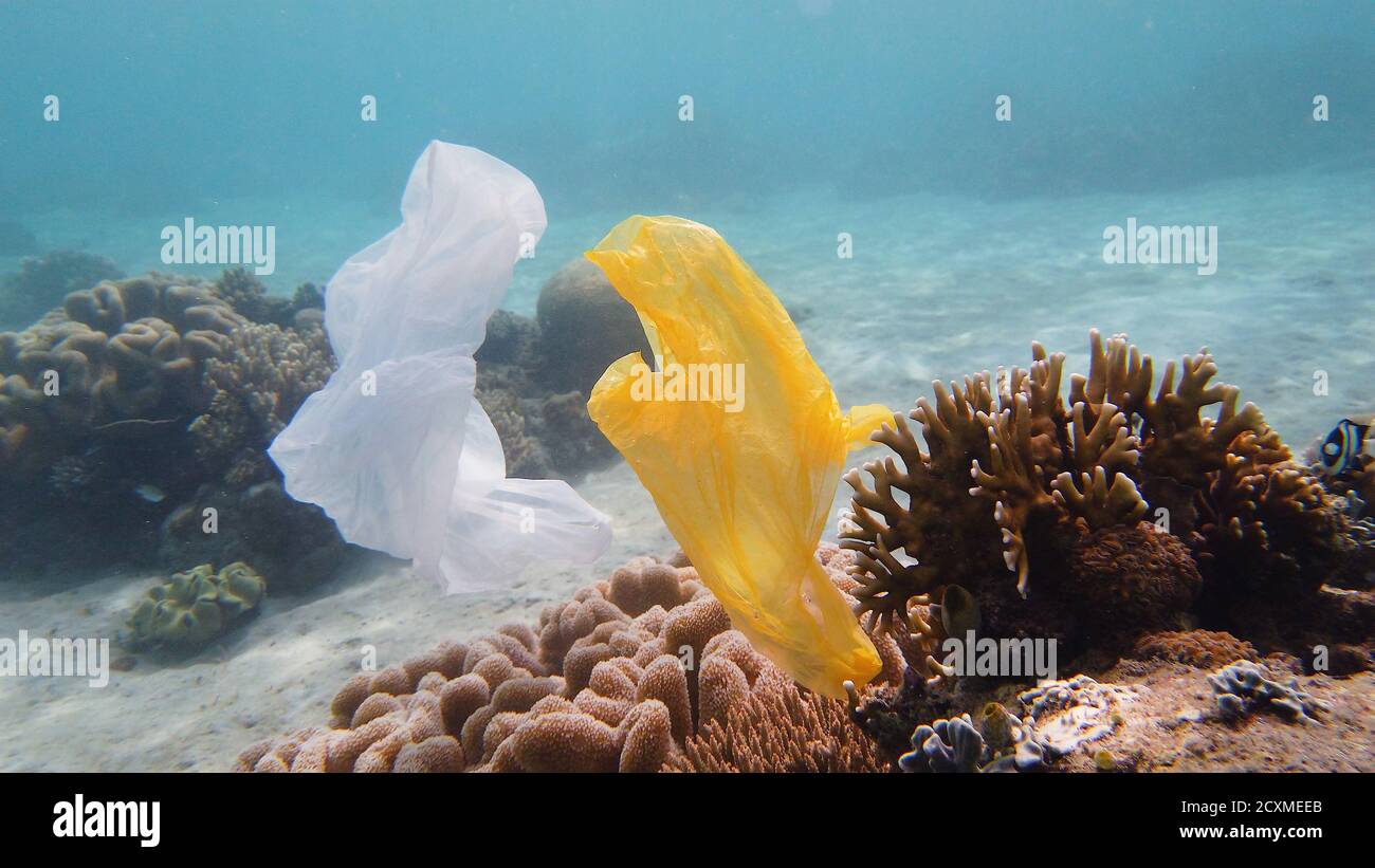 Environmental Problem - plastic trash on a coral reef. A plastic bag on ...