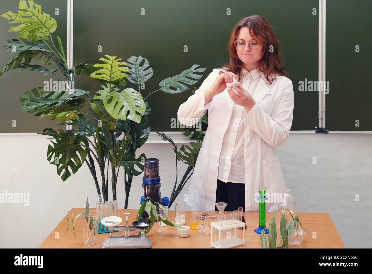 Ecology and biology lesson at school. Study of plants and trees in the ...