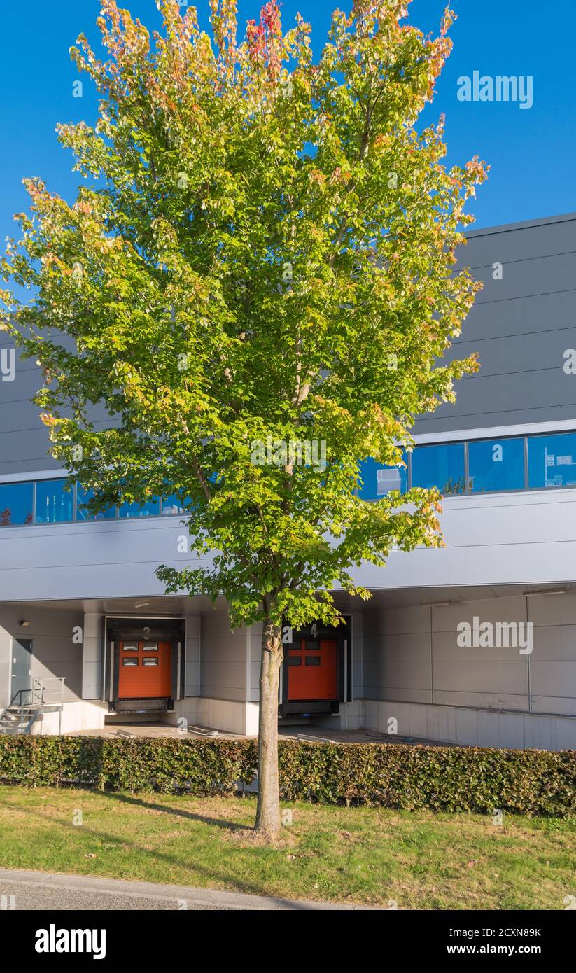 large warehouse with loading docks Stock Photo - Alamy
