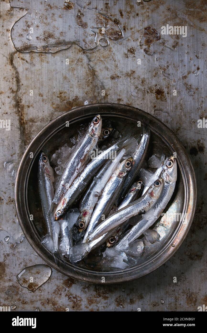 Lot of raw fresh anchovies fishes on crushed ice in vintage plate over ...