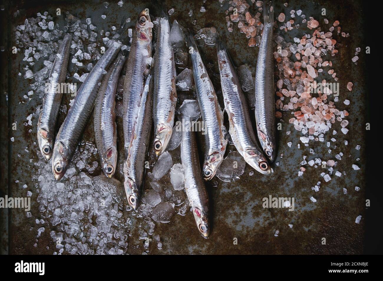 Lot of raw fresh anchovies fishes on crushed ice with pink and sea salt ...