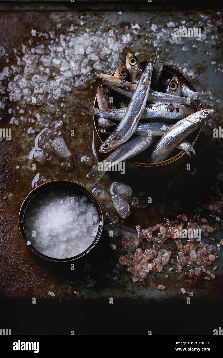 Lot of raw fresh anchovies fishes in tin can on crushed ice with pink ...