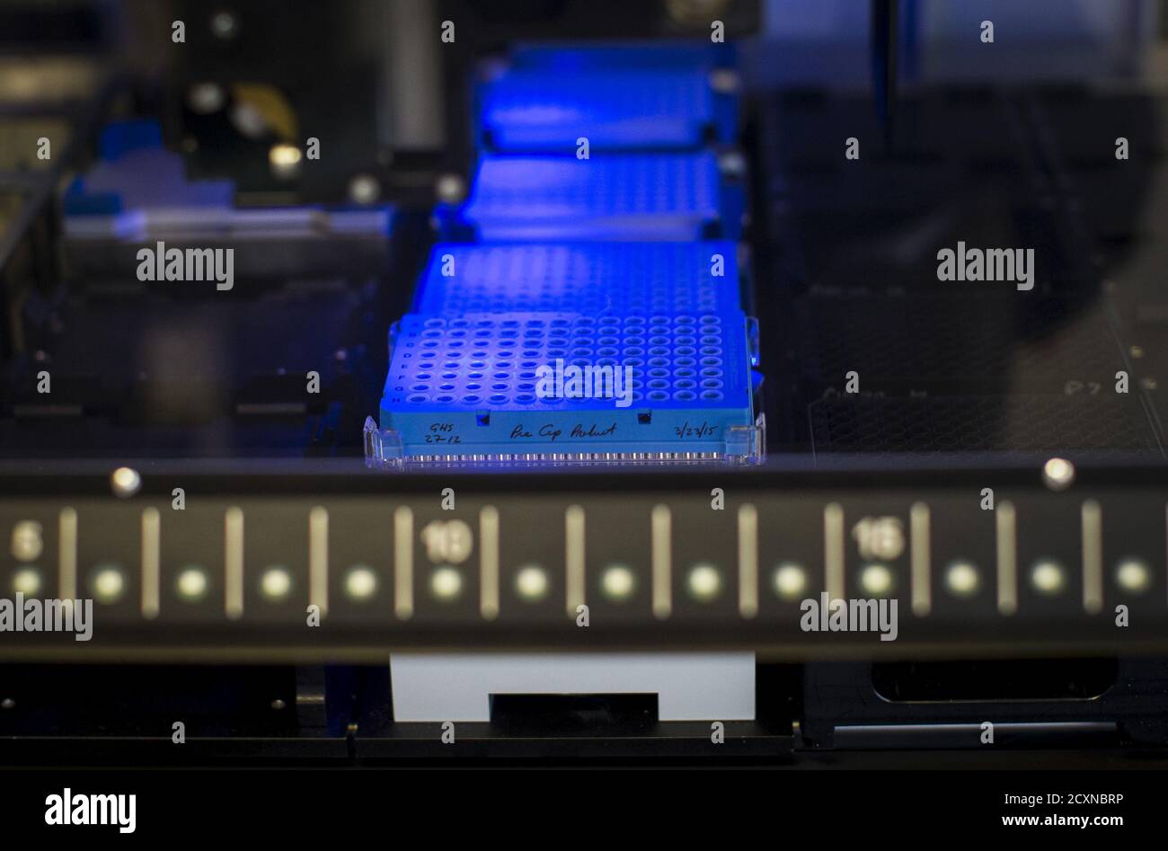 Genetic mutations hi-res stock photography and images - Alamy