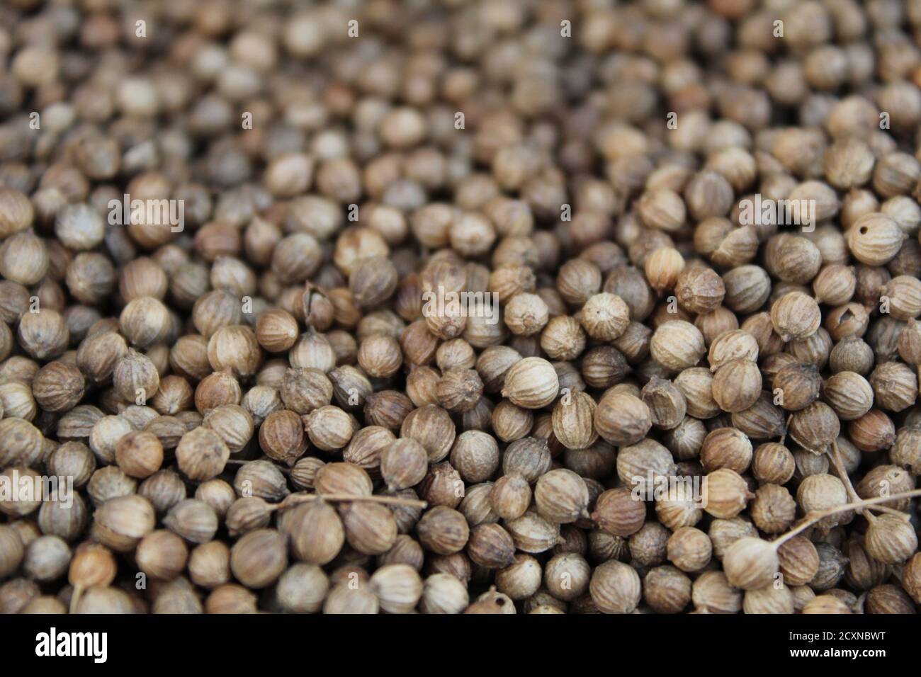 Dill seeds hi-res stock photography and images - Alamy