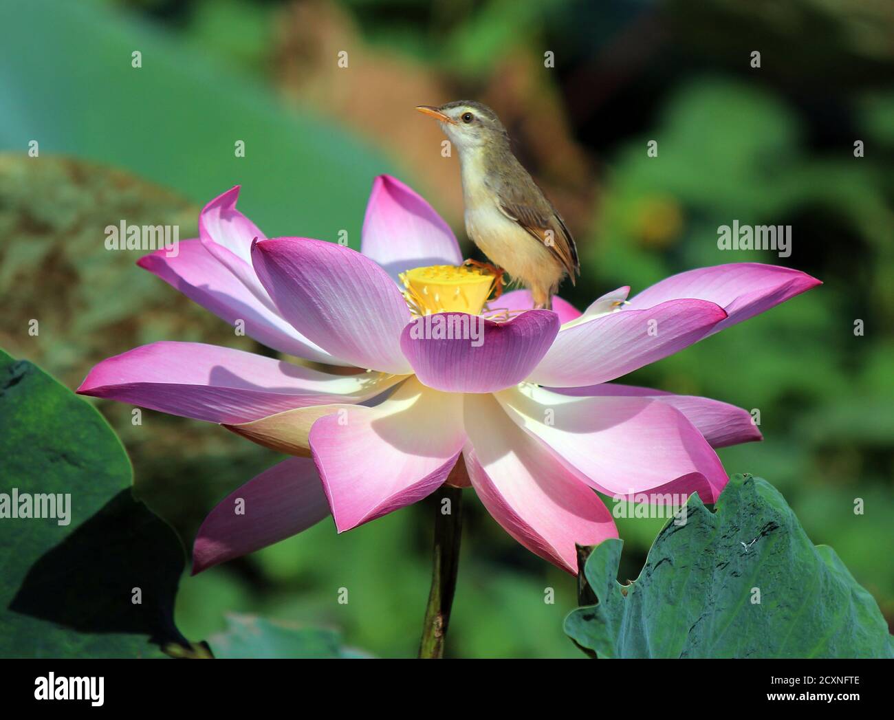 Pretty moment hi-res stock photography and images - Alamy