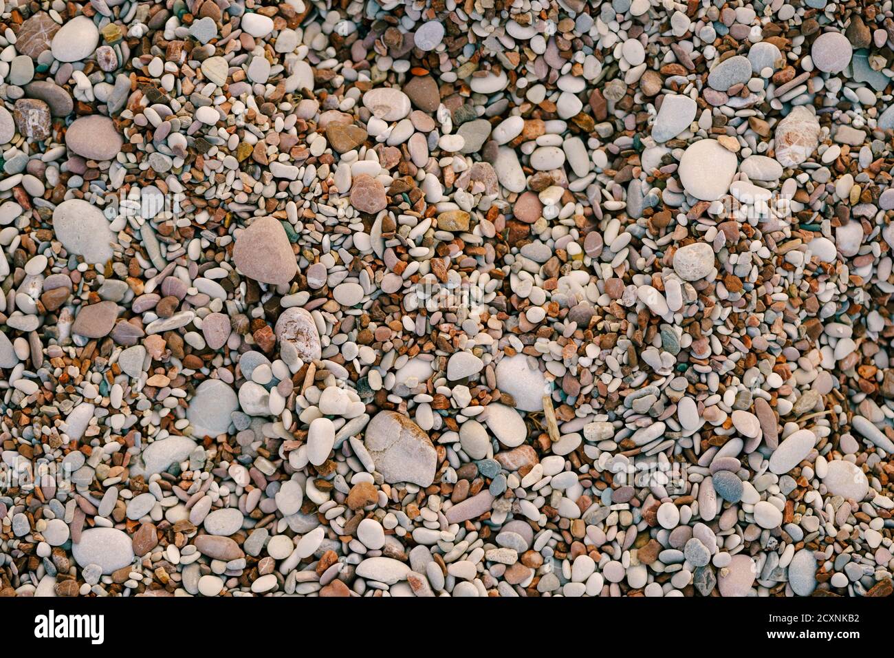 Teetexture hi-res stock photography and images - Alamy