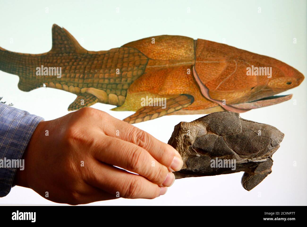 International life sciences institute hi-res stock photography and ...