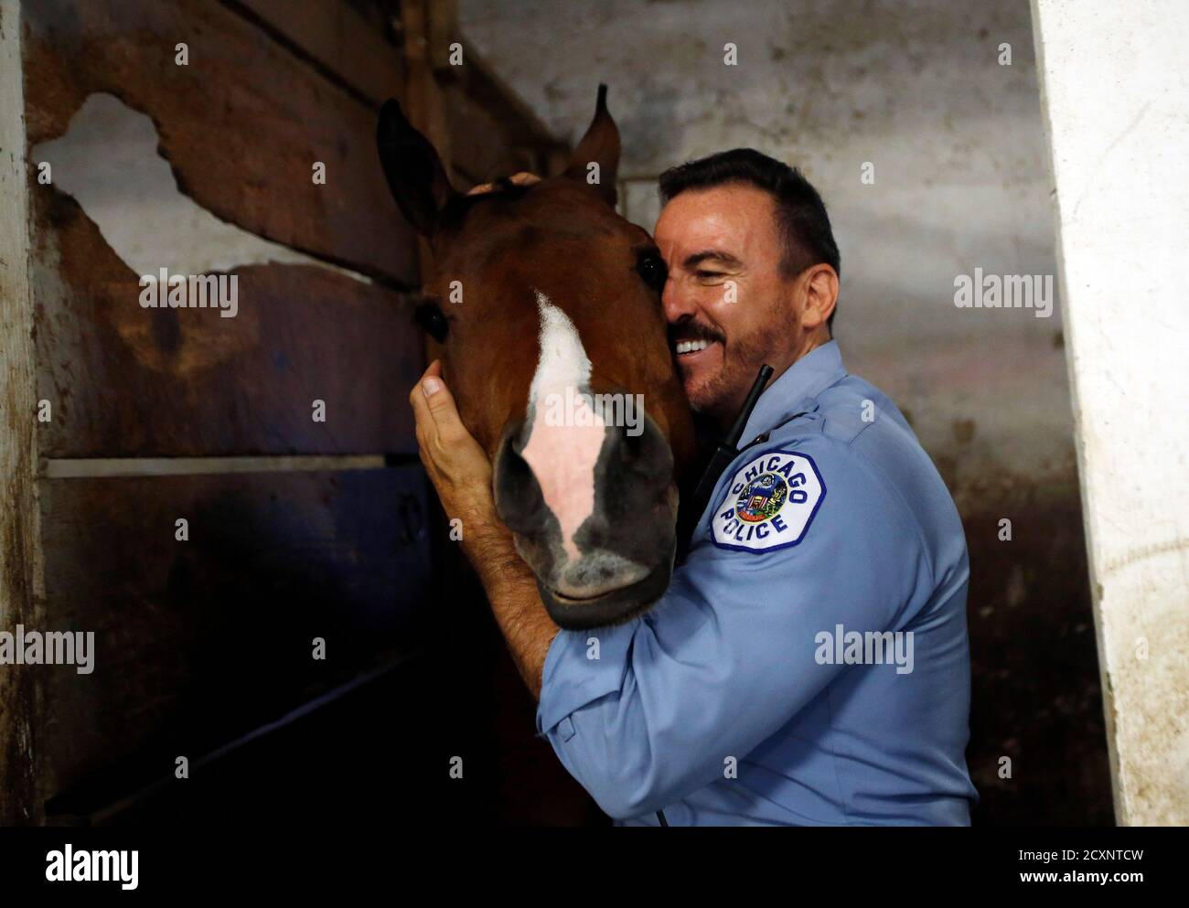 Chicago police horse hi-res stock photography and images - Alamy