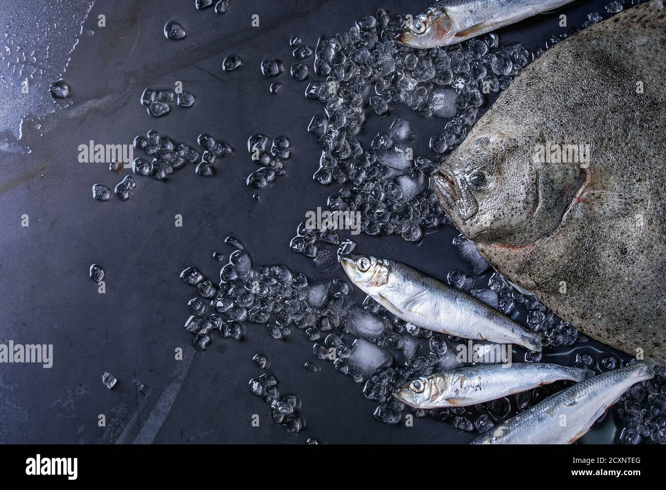 Raw fresh tuna, herring and flounder fish on crushed ice over dark wet ...