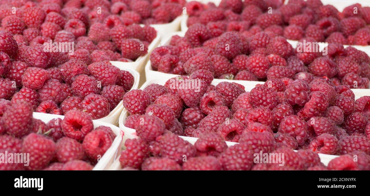Red raspberries in containers on the market Stock Photo - Alamy