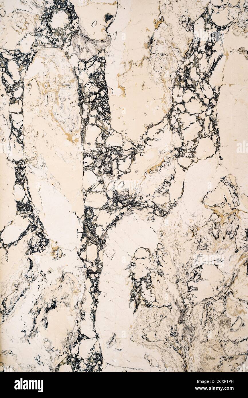 Light marble texture with black streaks all over the base Stock Photo ...