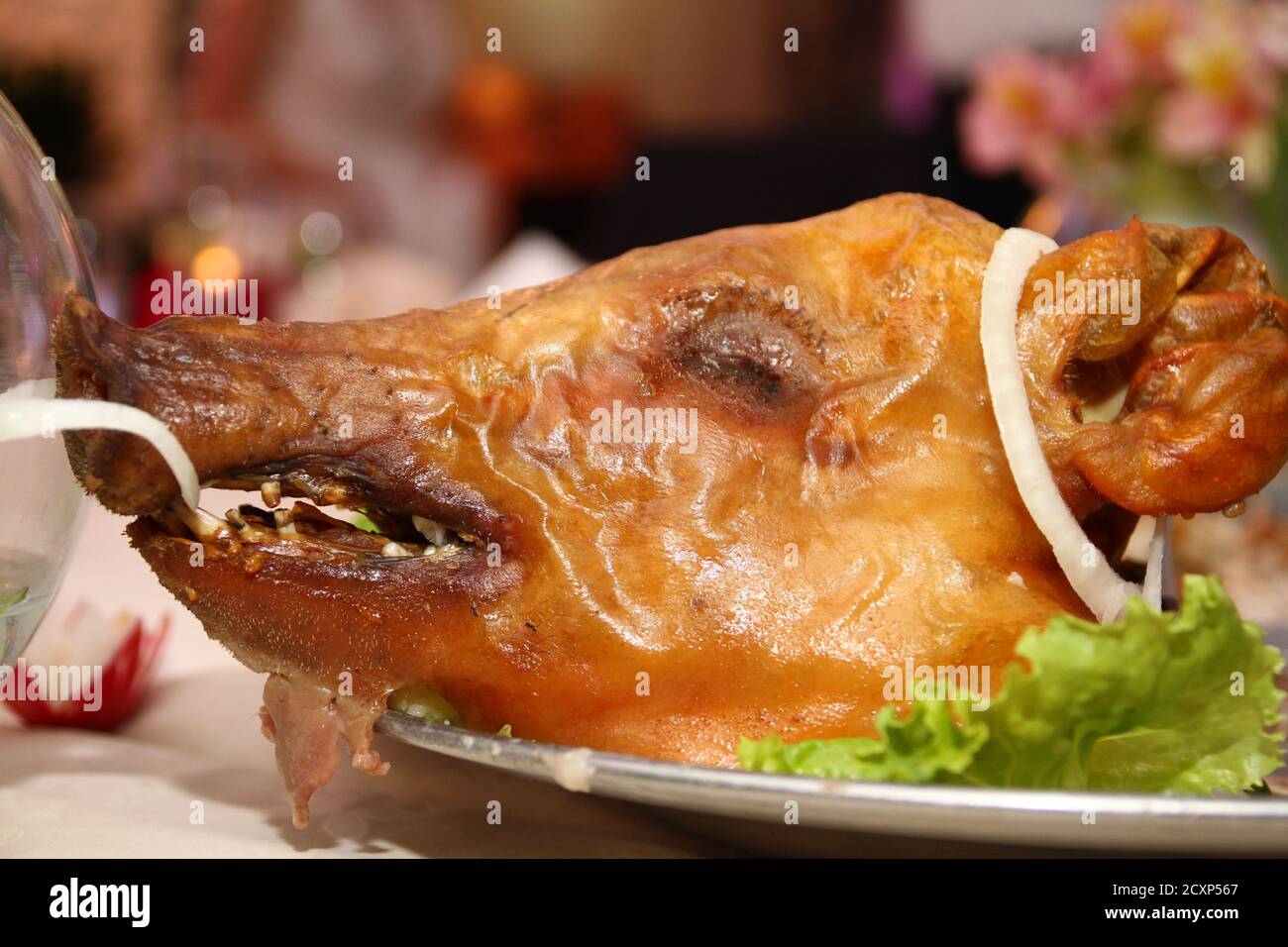 roast pork pig head on table, macro Stock Photo - Alamy