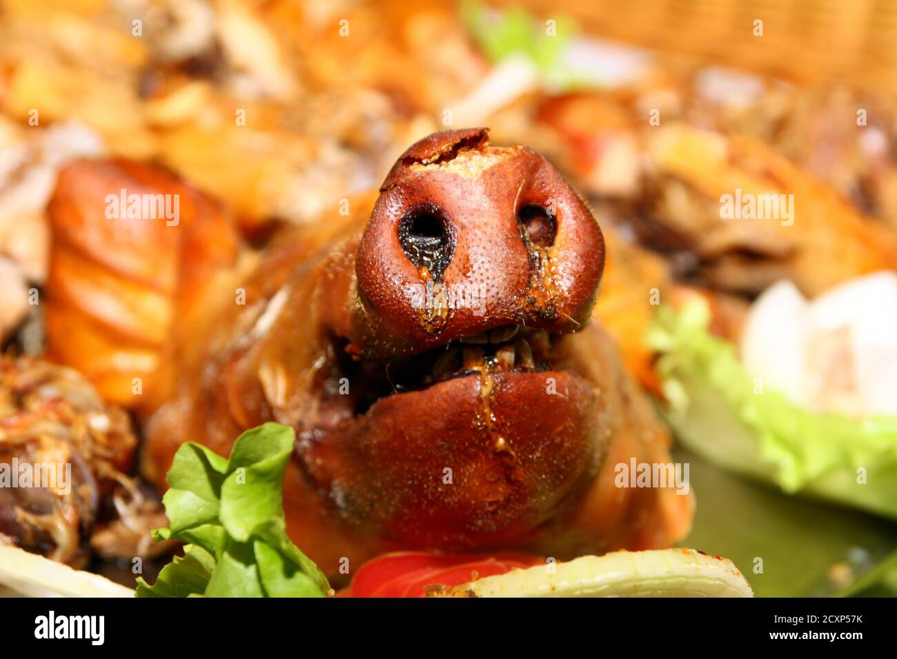 roast pork pig head on table, macro Stock Photo - Alamy