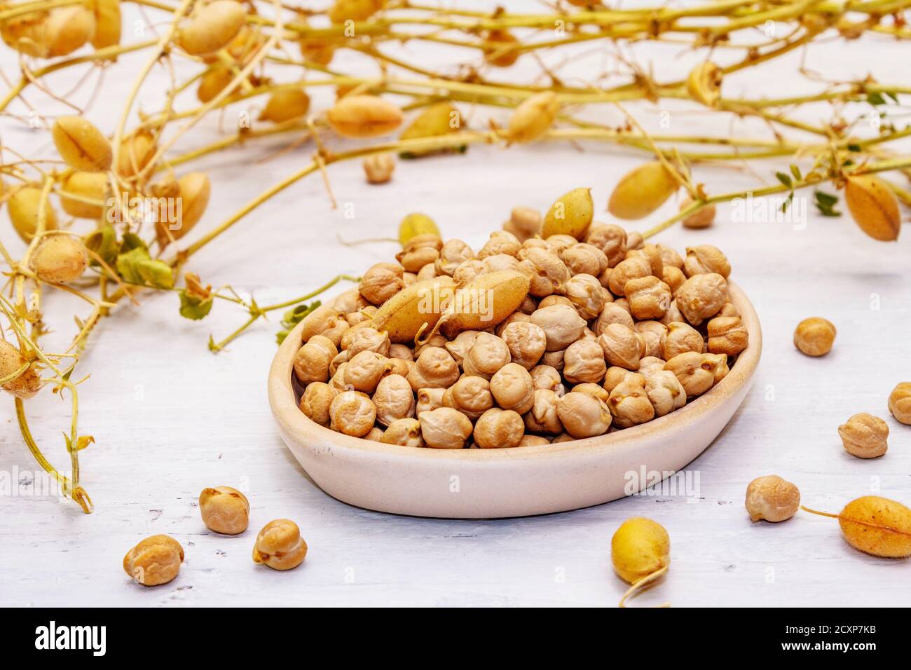 Dry chickpea in ceramic bowl and it's own branches on white wooden ...