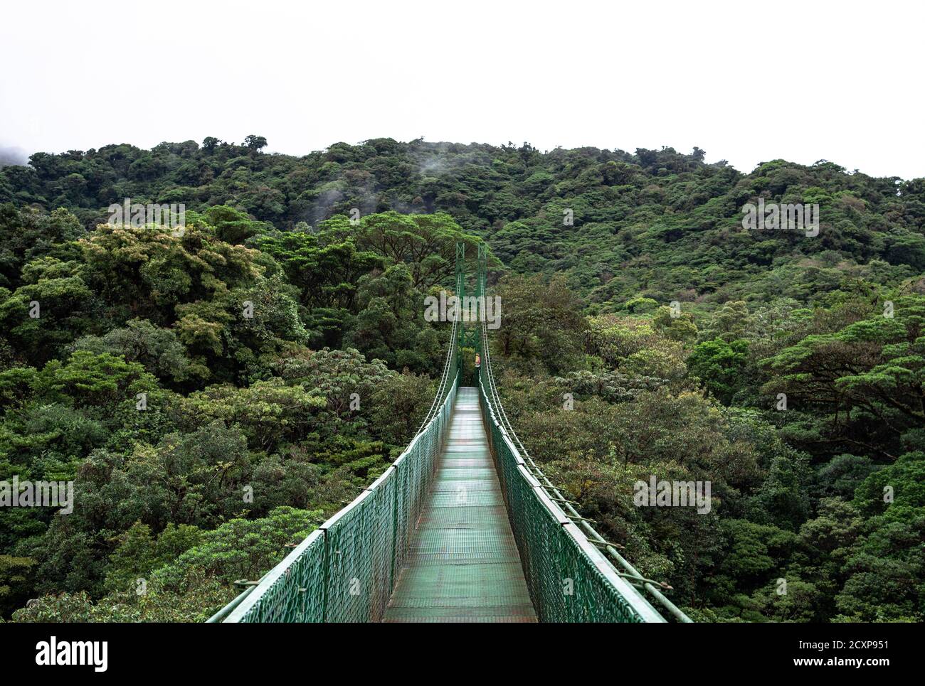Cloud forest bridge hi-res stock photography and images - Alamy