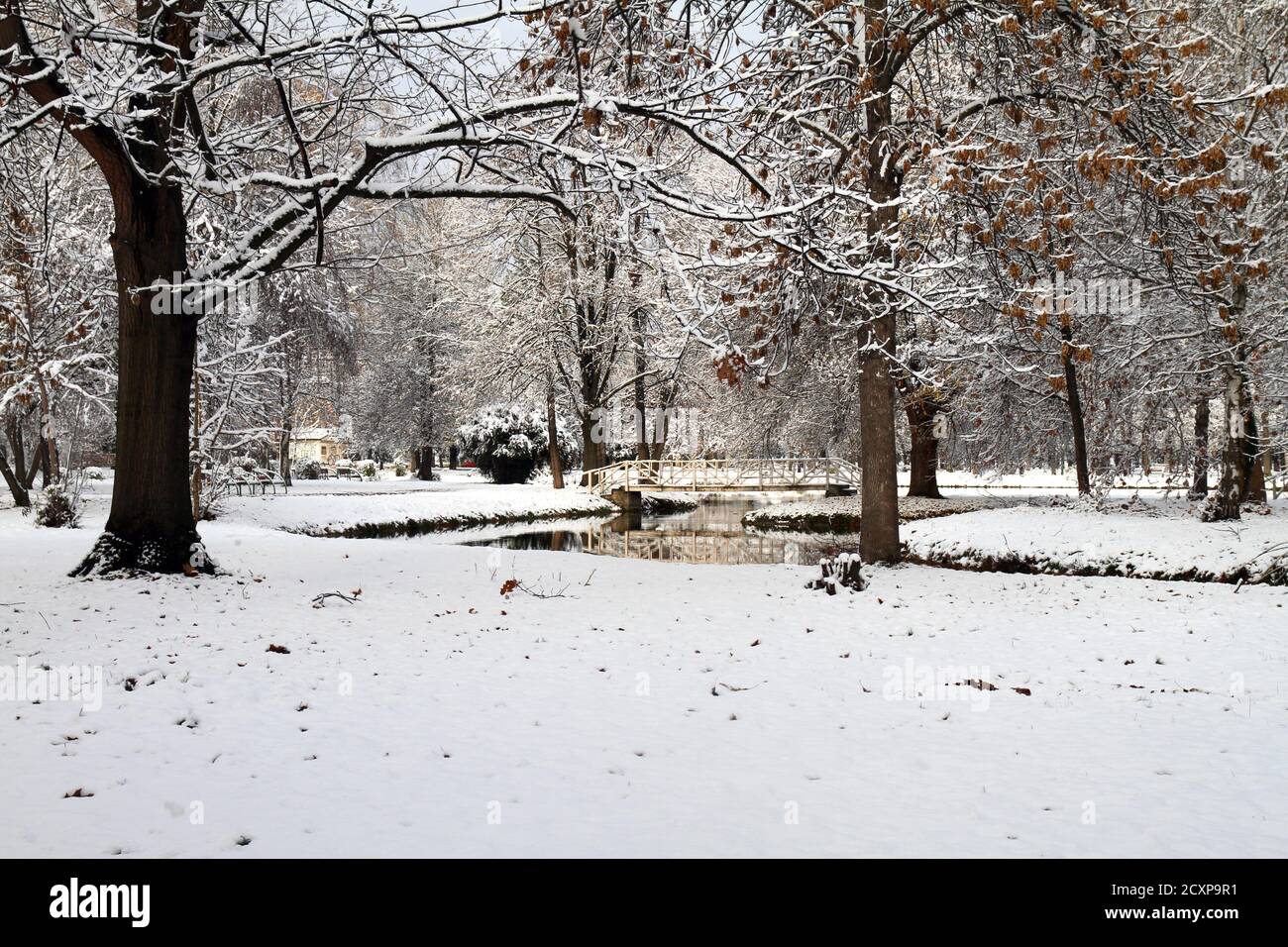 Snow in the Park, winter park in snow Stock Photo - Alamy