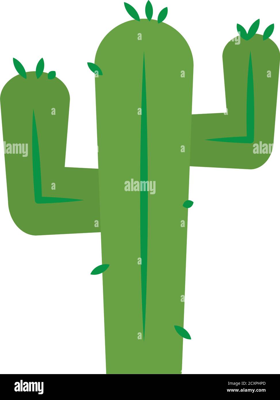 mexican cactus icon over white background, flat style, vector ...